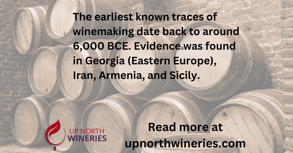 History of Wine - Up North Wineries
