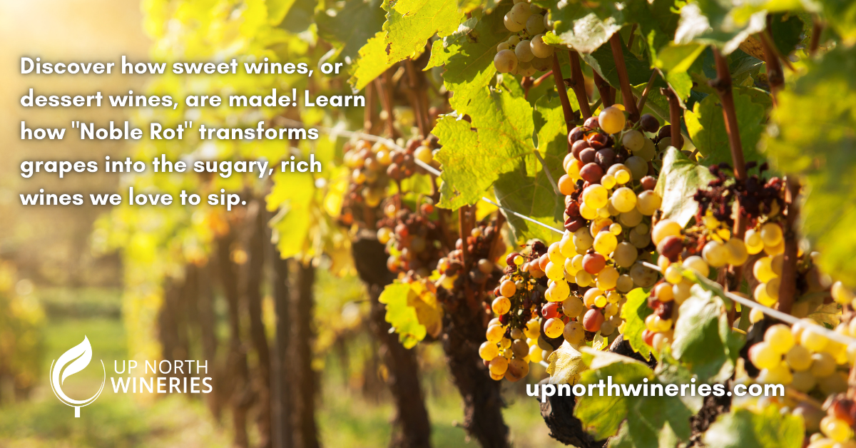 Sweet Wines and the Magic of Noble Rot - Up North Wineries