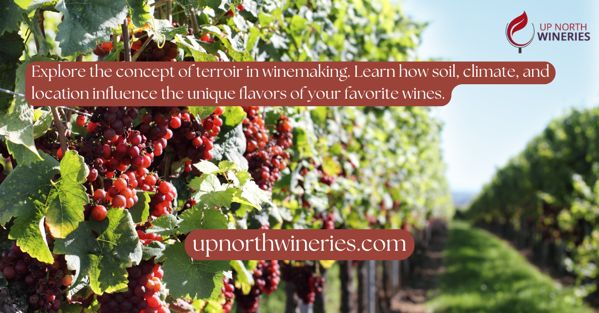Understanding Terroir - Up North Wineries