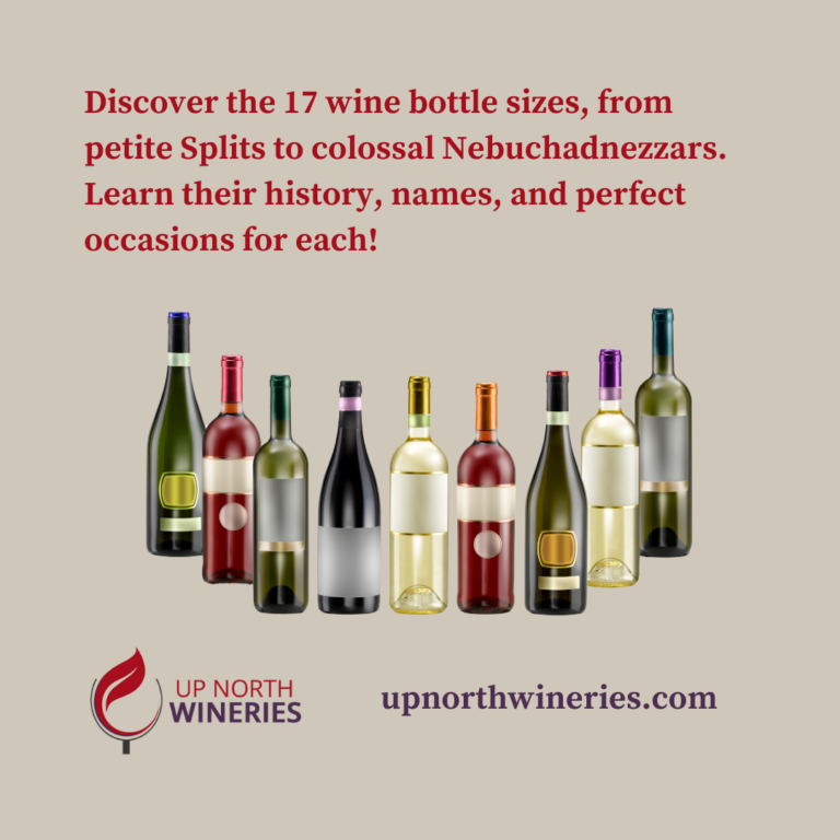 A Guide to Wine Bottle Sizes - Up North Wineries