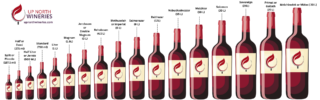 A Guide to Wine Bottle Sizes - Up North Wineries