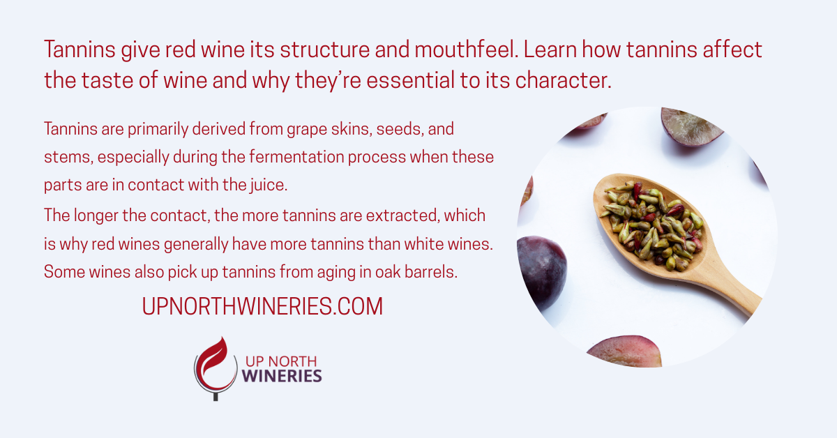 What Are Tannins? - Up North Wineries